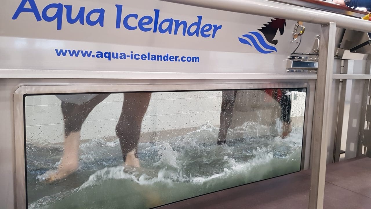 Horse Water Treadmill | Aqua Horse Treadmill | DoWell Equine