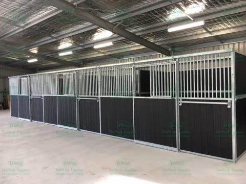 Coopernook NSW | Dressage Horse Stables | DoWell Equine