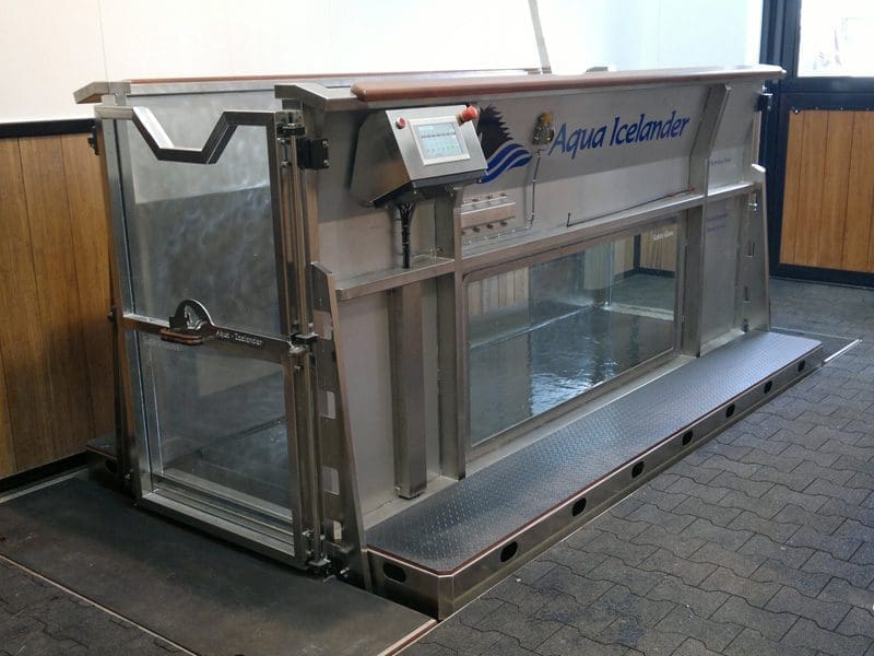 Horse Water Treadmill | Aqua Horse Treadmill | DoWell Equine