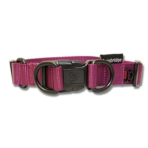 Nylon Double Ring Dog Collar Premium | DoWell Equine