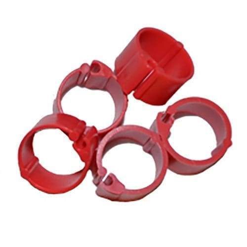 Poultry Leg Rings 15mm | DoWell Equine